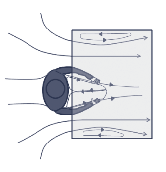 The myth of Face Velocity - DELabCon
